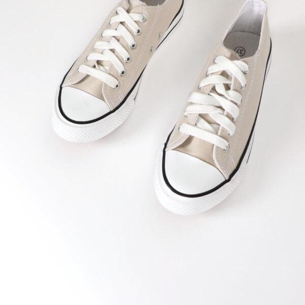 ALL STAR LIMITED EDITION