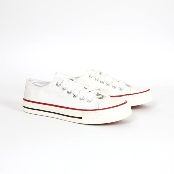 ALL STAR LIMITED EDITION