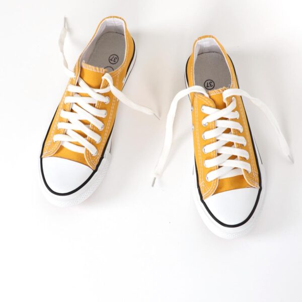 ALL STAR LIMITED EDITION